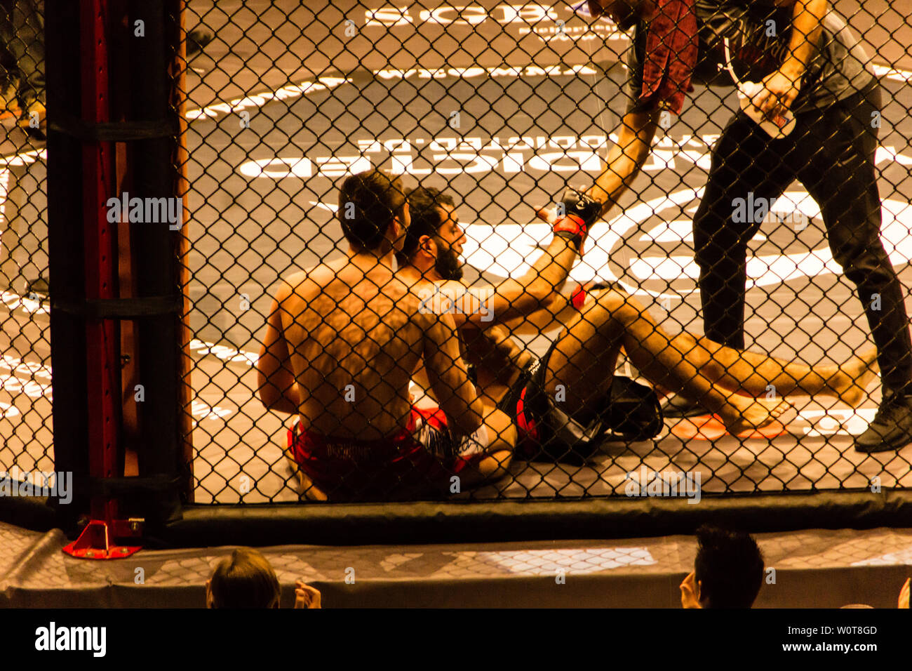 Hamburg, Germany - Nov 18th, 2017: The fight between Ali Ramadan and ...