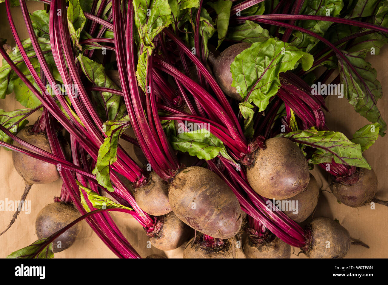 Beetroot Varieties High Resolution Stock Photography and Images - Alamy