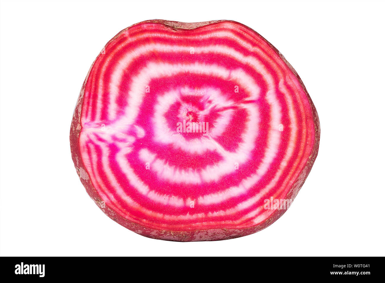 Candy stripe beetroot cut in half, photographed end on, white ...