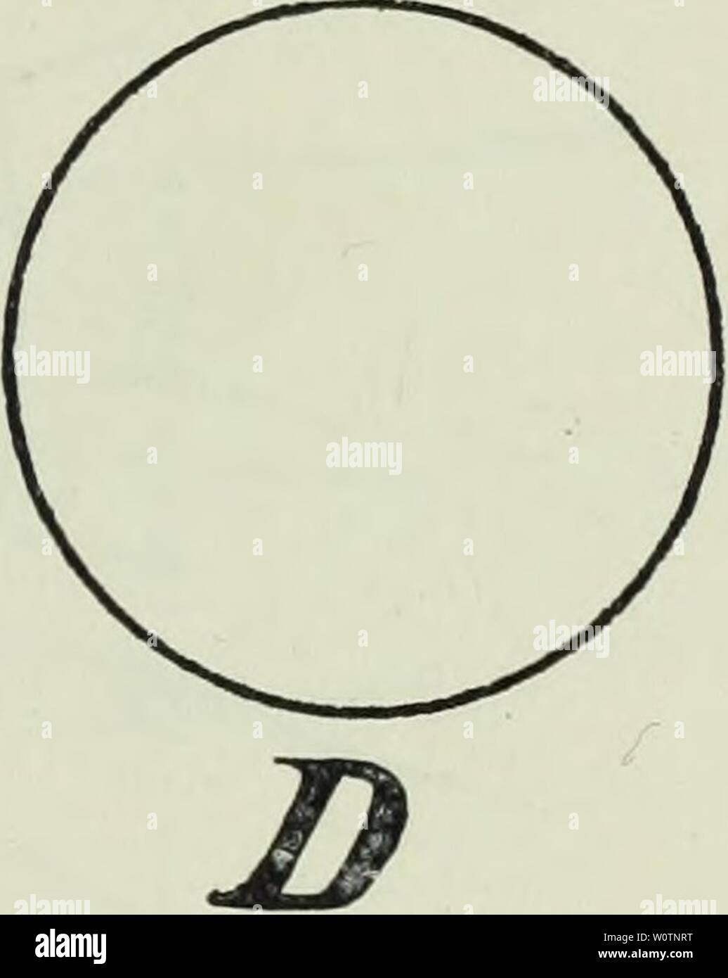 Archive image from page 796 of The depths of the ocean;. The depths of ...