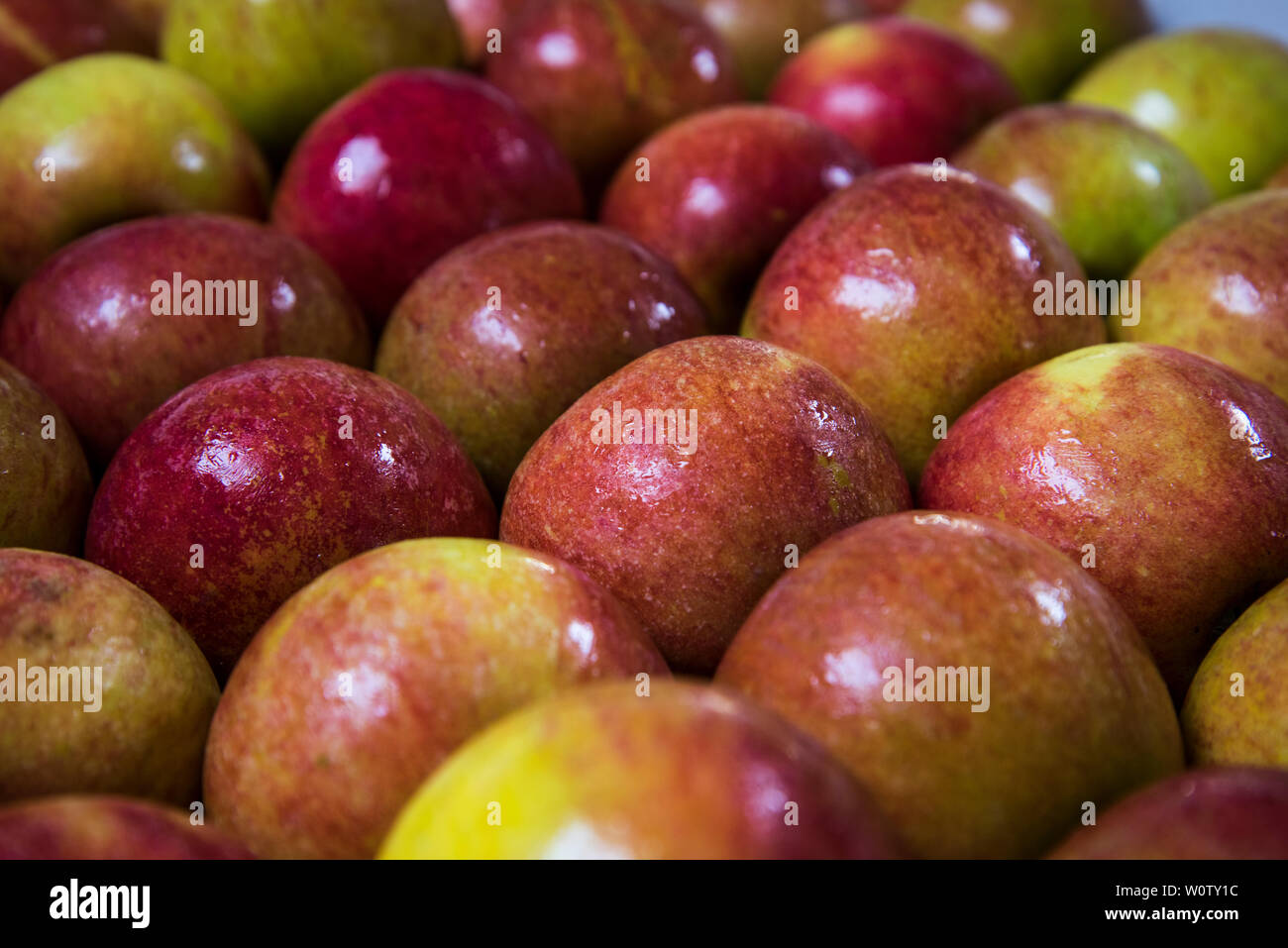 Jupiter apples hi-res stock photography and images - Alamy