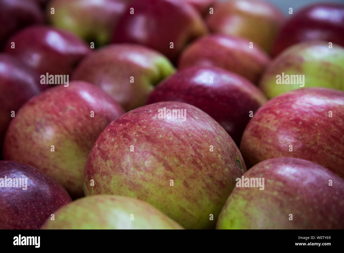 Packed apples hi-res stock photography and images - Alamy