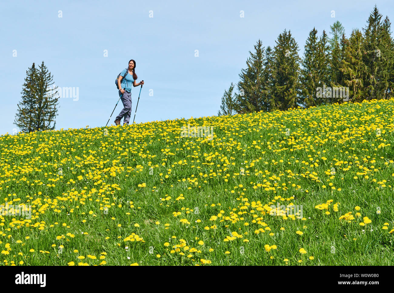 Barfuß wandern hi-res stock photography and images - Alamy