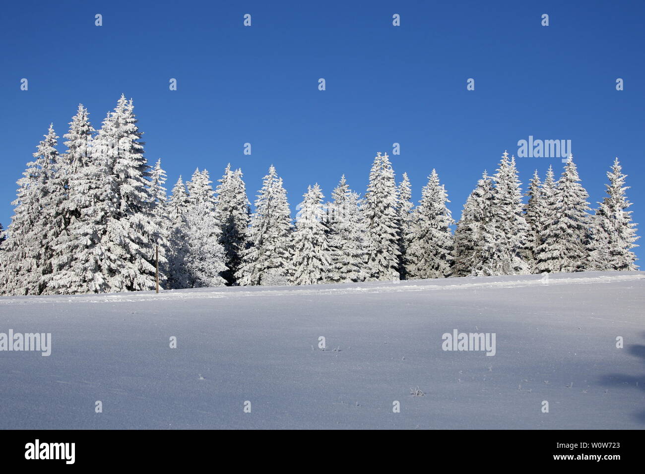 Winterlandschaft am Feldberg im Schwarzwald, Winterimpressionen aus der ...