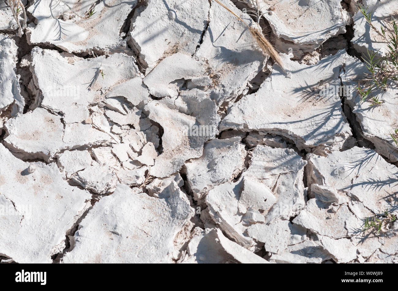 Drought, dry soil with cracks Stock Photo - Alamy
