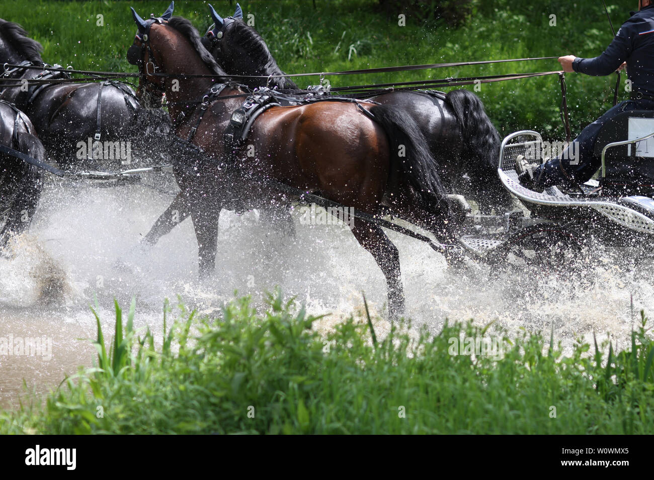 Windsor horse racing show hi-res stock photography and images - Alamy