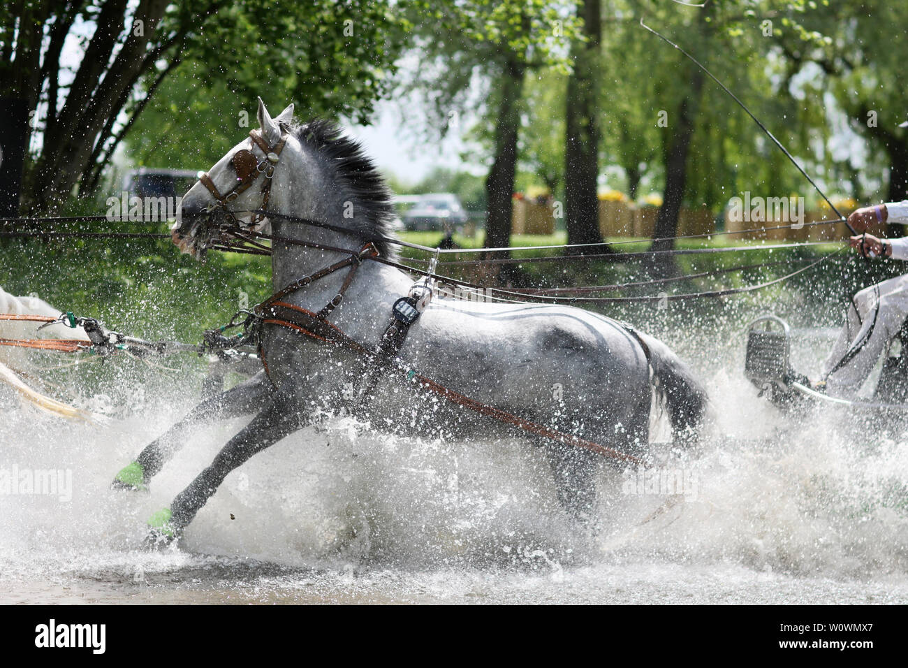 Windsor horse racing show hi-res stock photography and images - Alamy