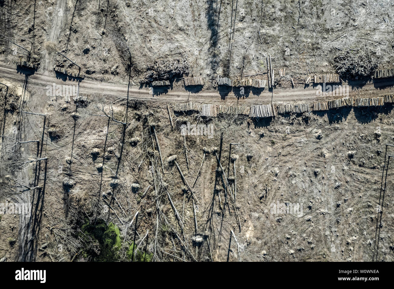 Terrible deforestation, logging, environmental destruction, aerial view ...