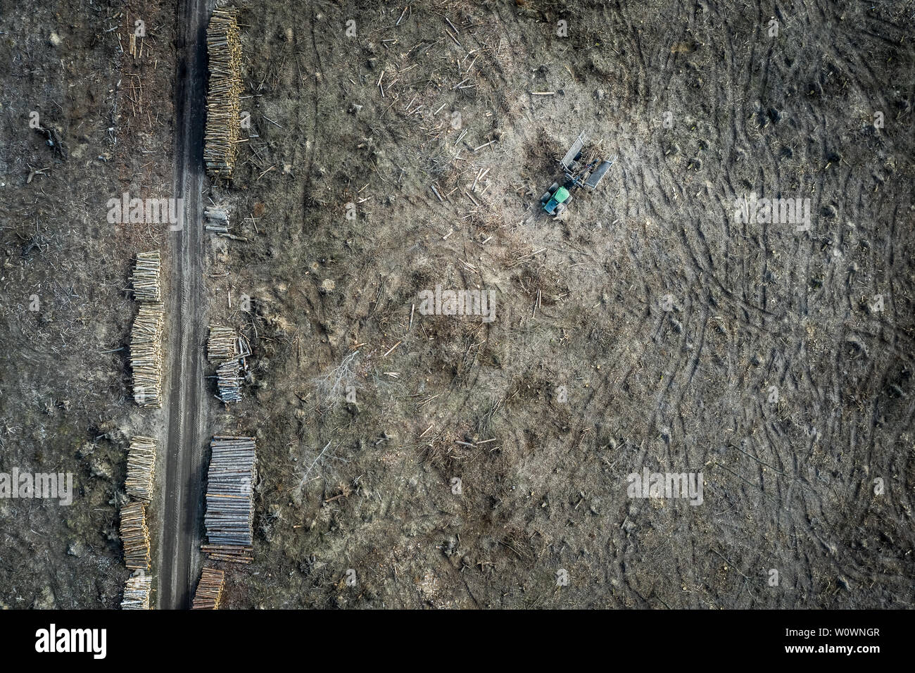 Shocking deforestation, destroyed forest, view from above Stock Photo ...