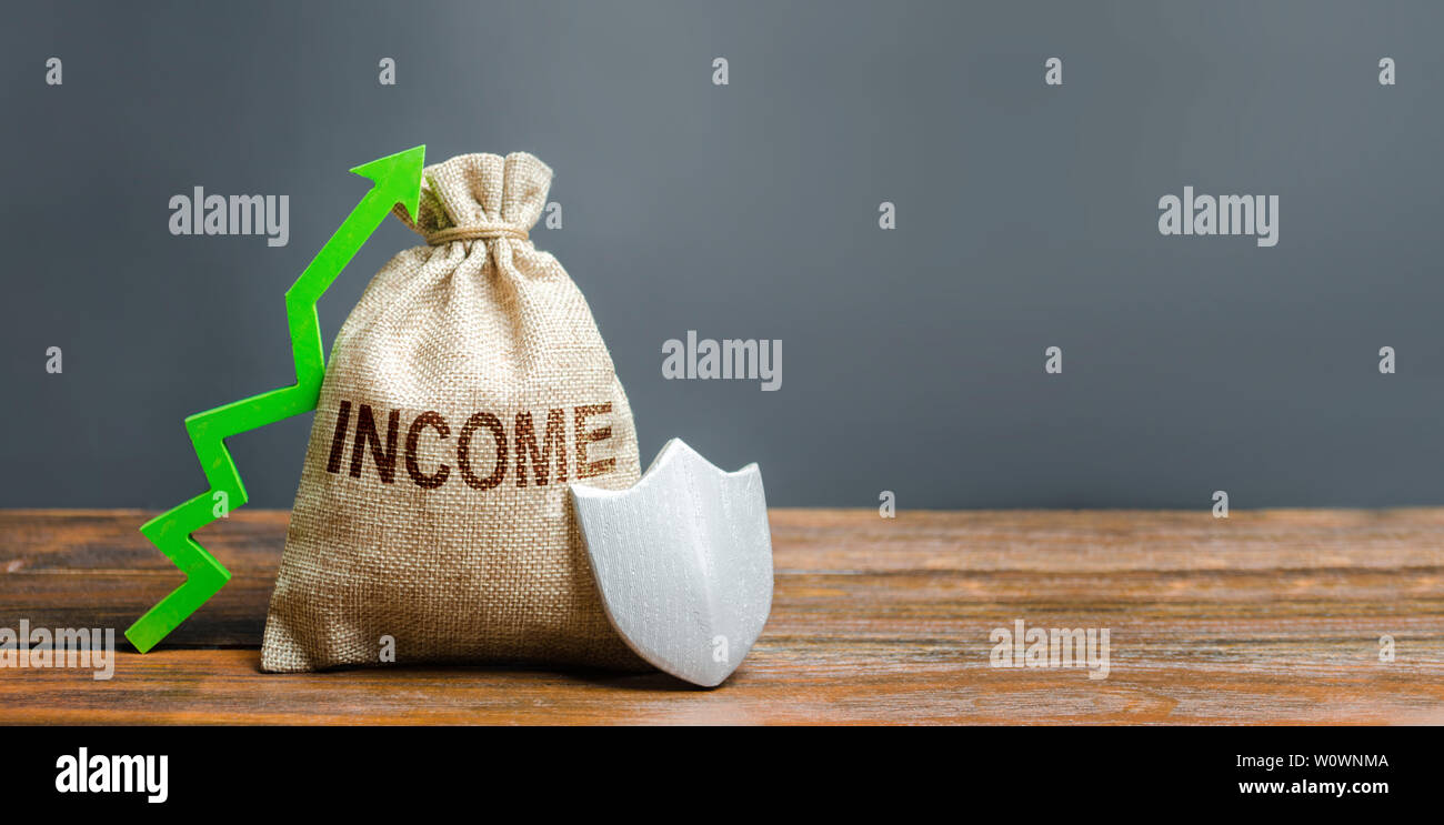 Bag with the inscription Income, green up arrow and metal shield ...