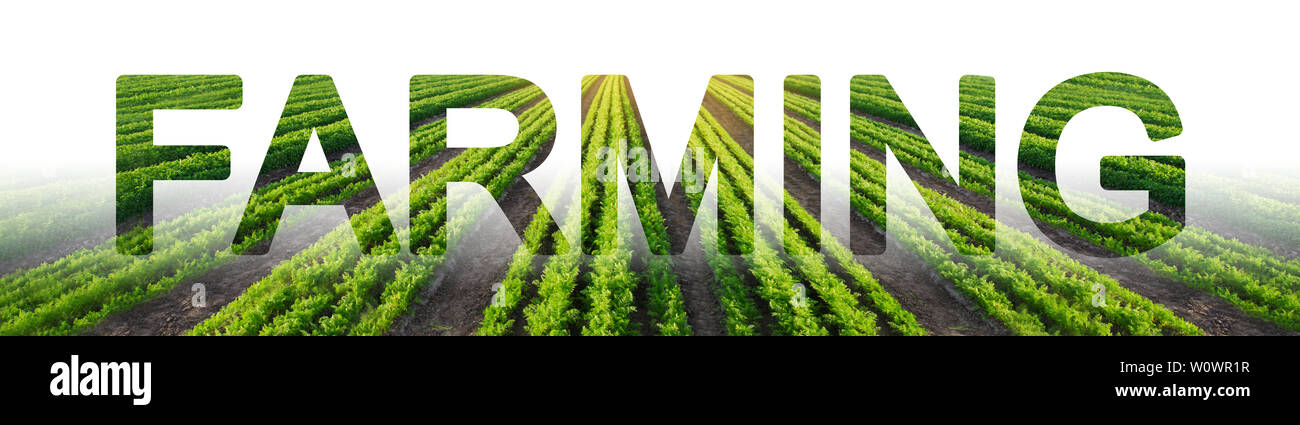 Agribusiness High Resolution Stock Photography and Images - Alamy