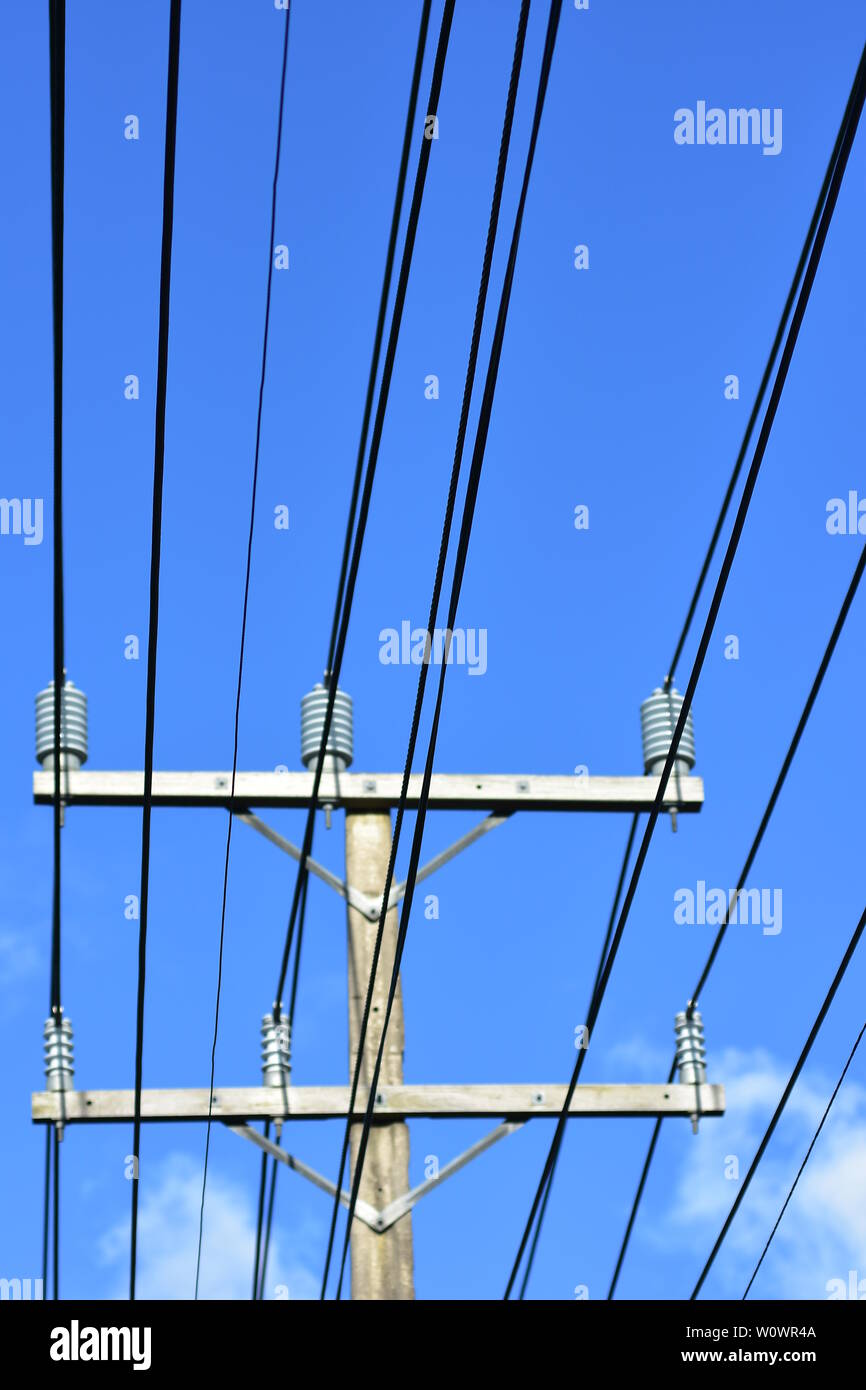 Vertical view of electric grid wires going through isolators on top of ...