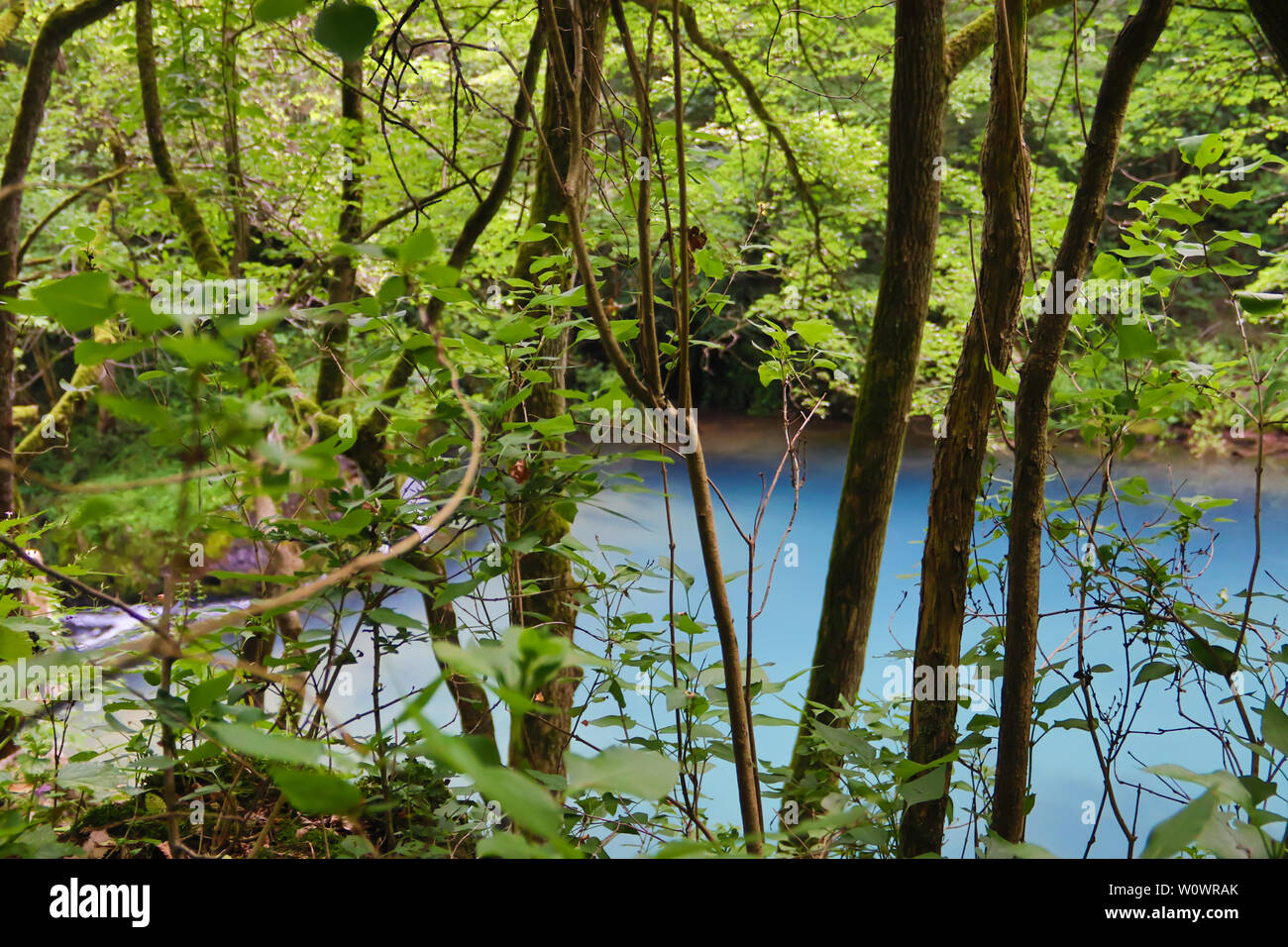 Amazingly beautiful mountain's spring with heavenly blue water color ...