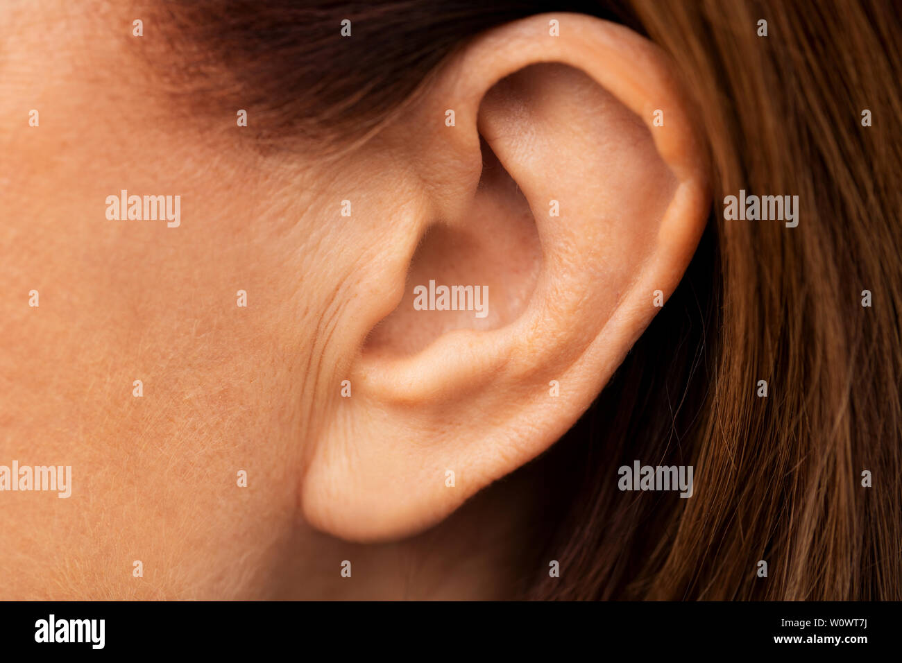 Close up close up closeup profile side view mature hi-res stock ...