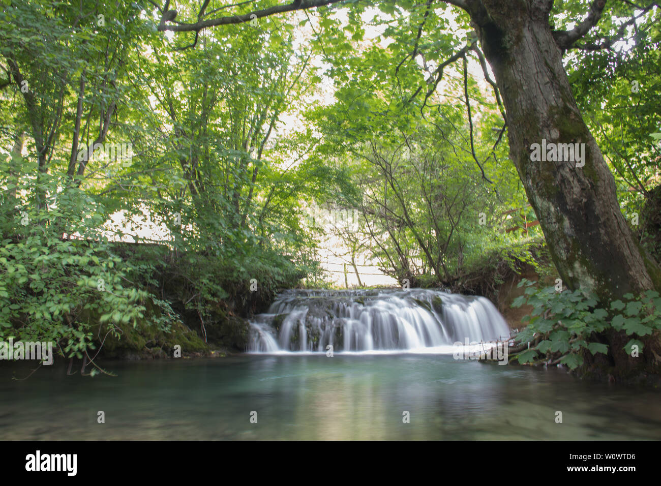 Spring cascade hi-res stock photography and images - Alamy