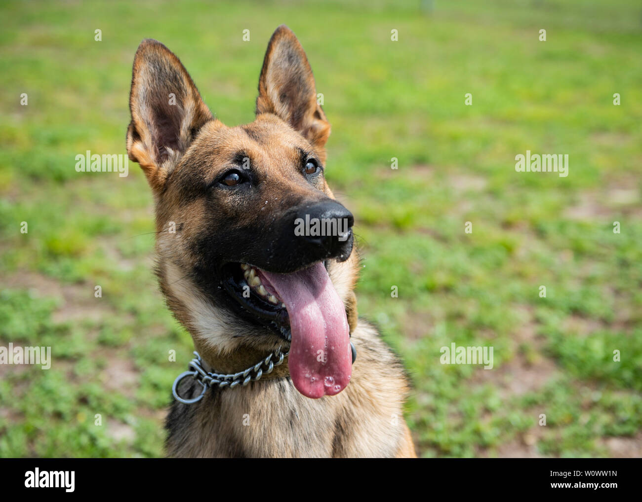 325th security forces squadron hi-res stock photography and images - Alamy