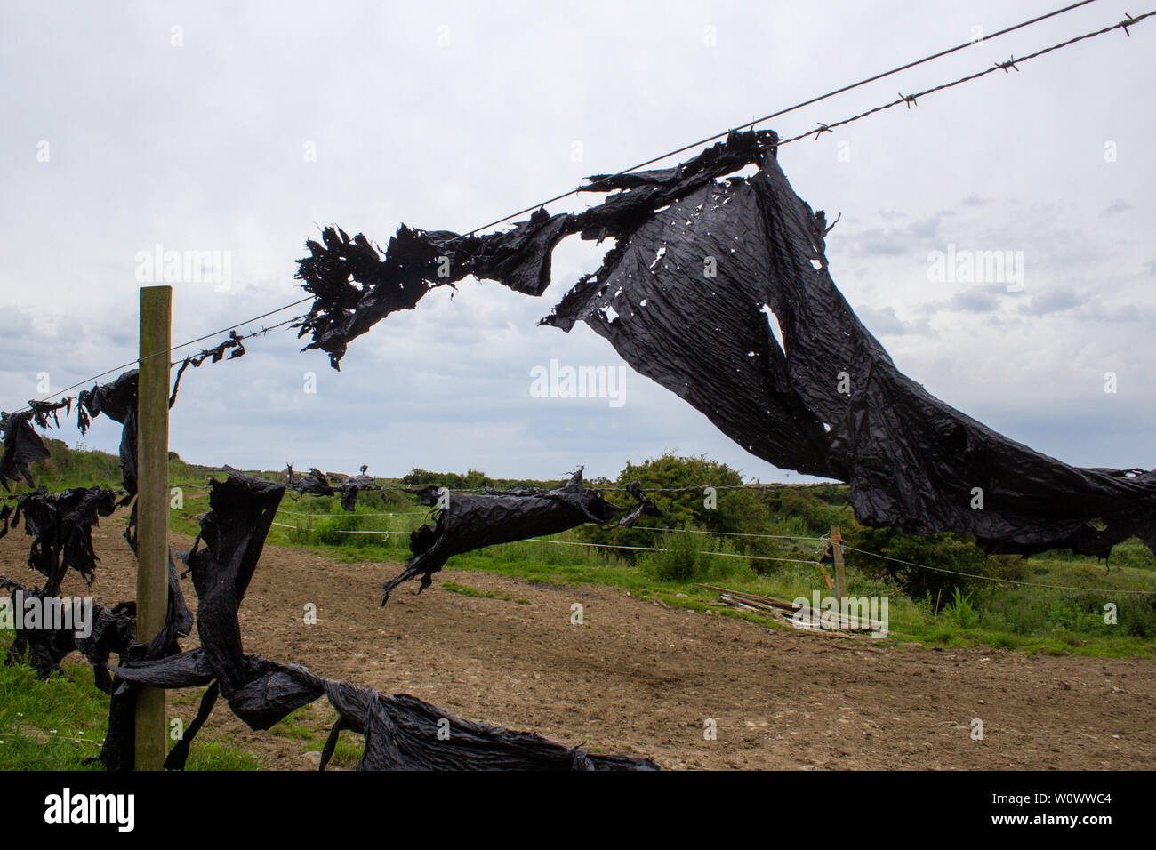 Shreds of black plastic caught in barbed wire blowing in the wind Stock ...