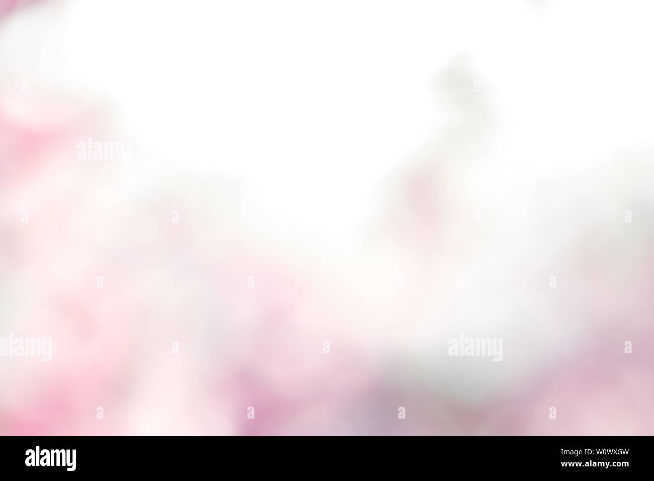 Pink spring background Stock Photo - Alamy