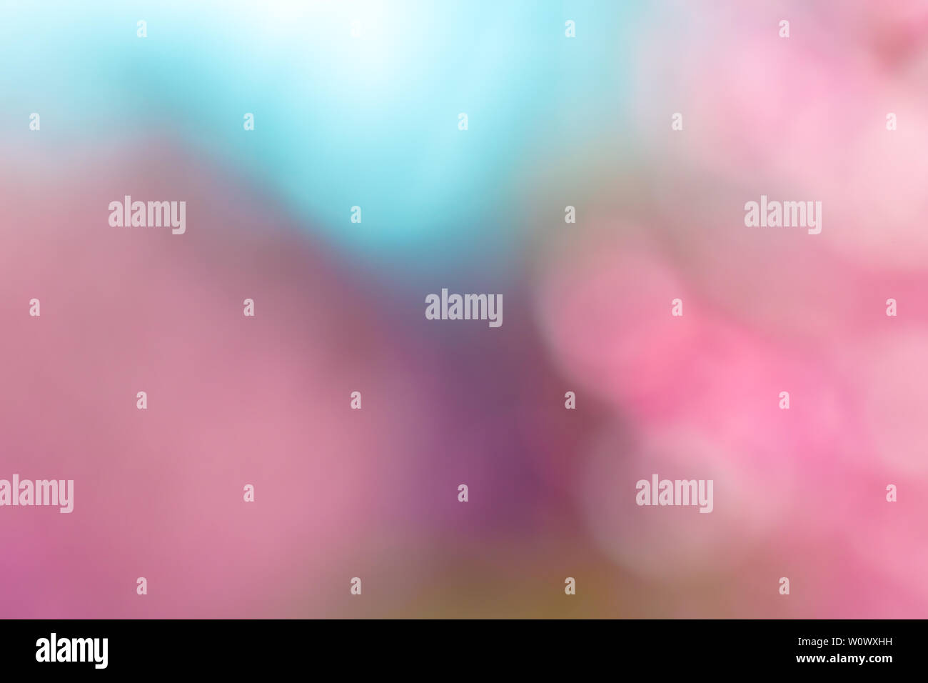 Pink spring background Stock Photo - Alamy