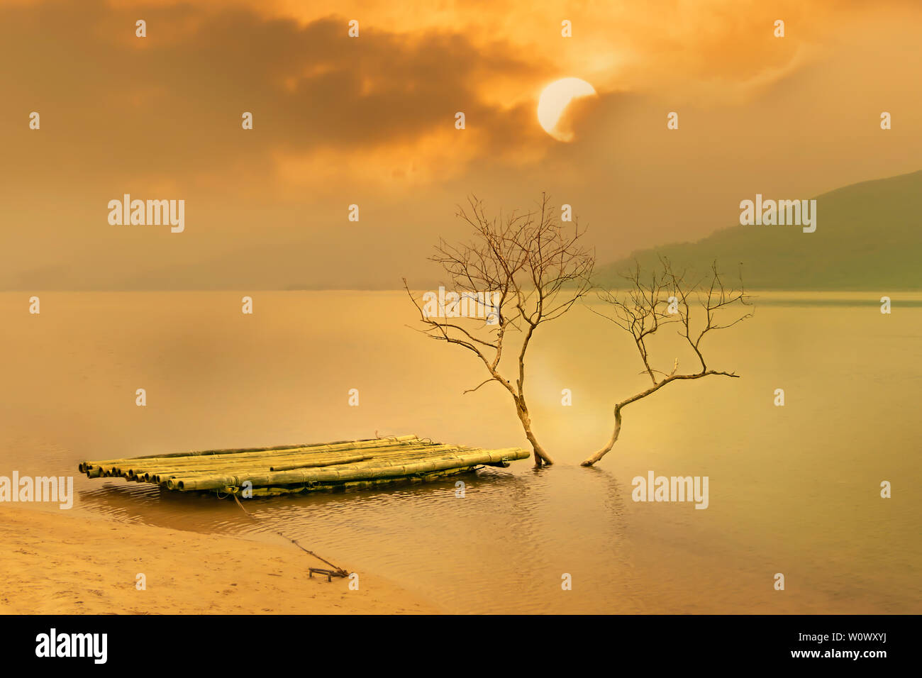Tree and bamboo raft with the calm sea , beautiful nature Stock Photo ...
