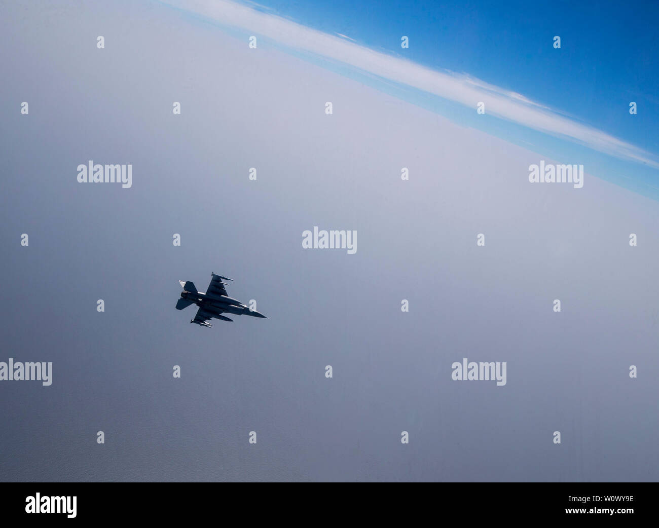 Brig falcon hi-res stock photography and images - Alamy