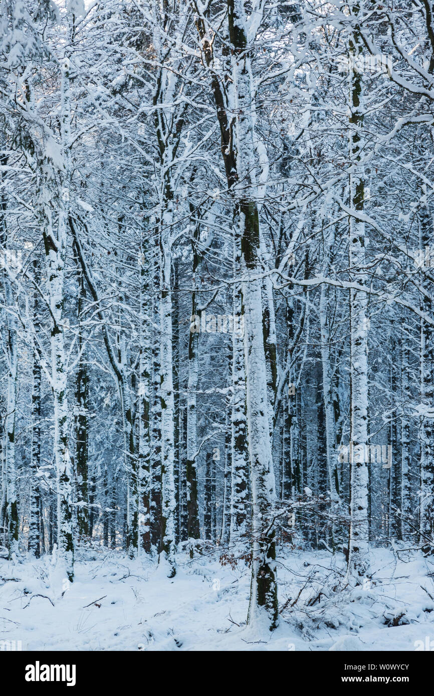 Snowfall border hi-res stock photography and images - Alamy
