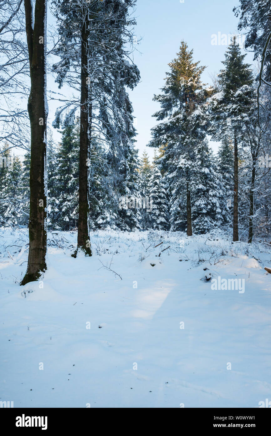 Snowfall Border High Resolution Stock Photography and Images - Alamy