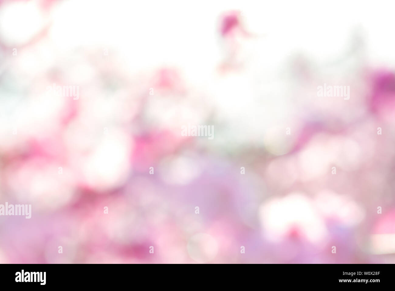 Pink spring background Stock Photo - Alamy