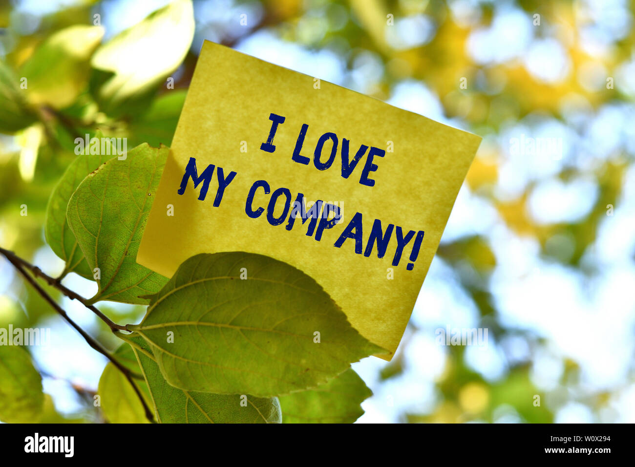 Word writing text I Love My Company. Business photo showcasing tell why ...
