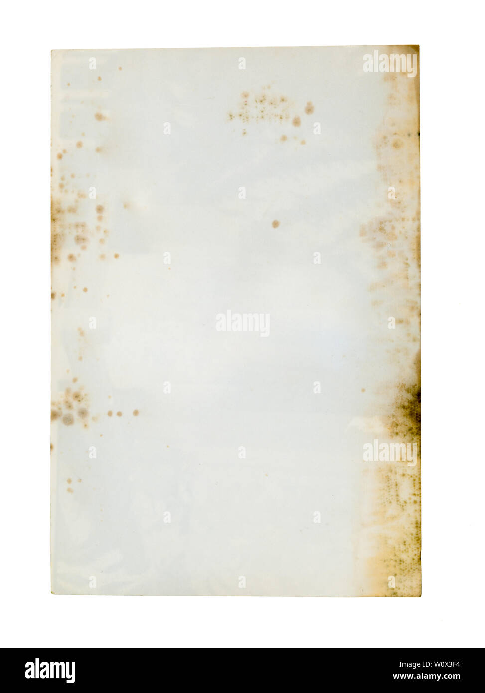 Old paper on white background Stock Photo - Alamy