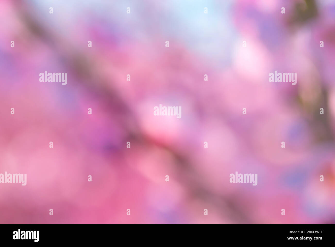 Pink spring background Stock Photo - Alamy
