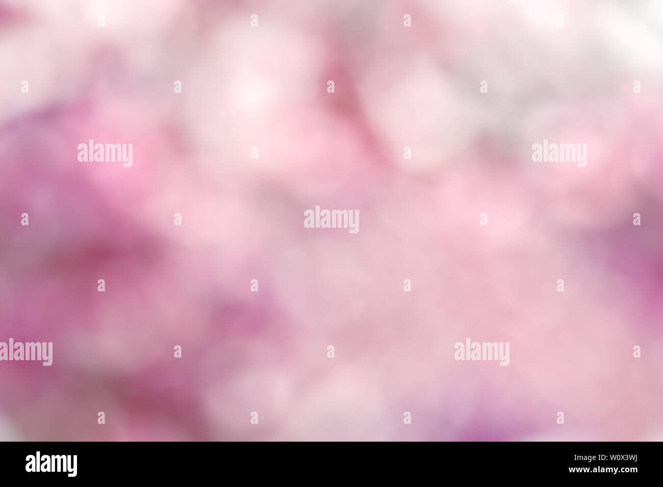 Pink spring background Stock Photo - Alamy