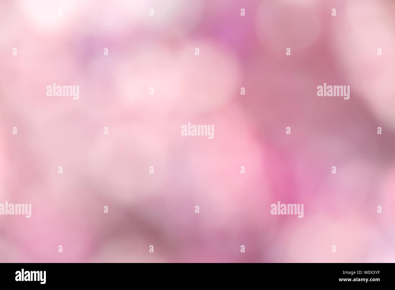 Pink spring background Stock Photo - Alamy