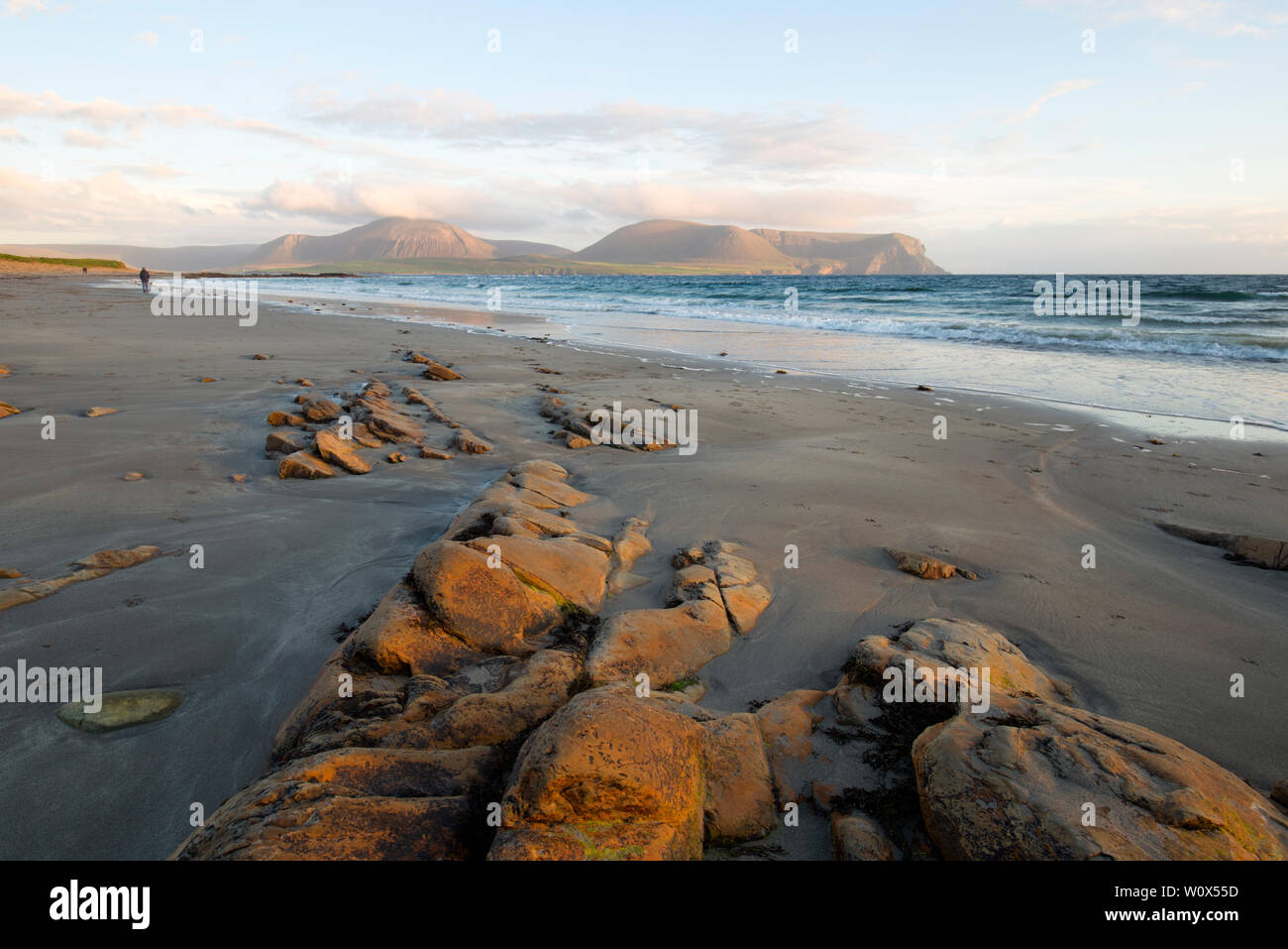 Walker at Warebeth Beach at the summer solstice, Orkney Mainland Stock ...