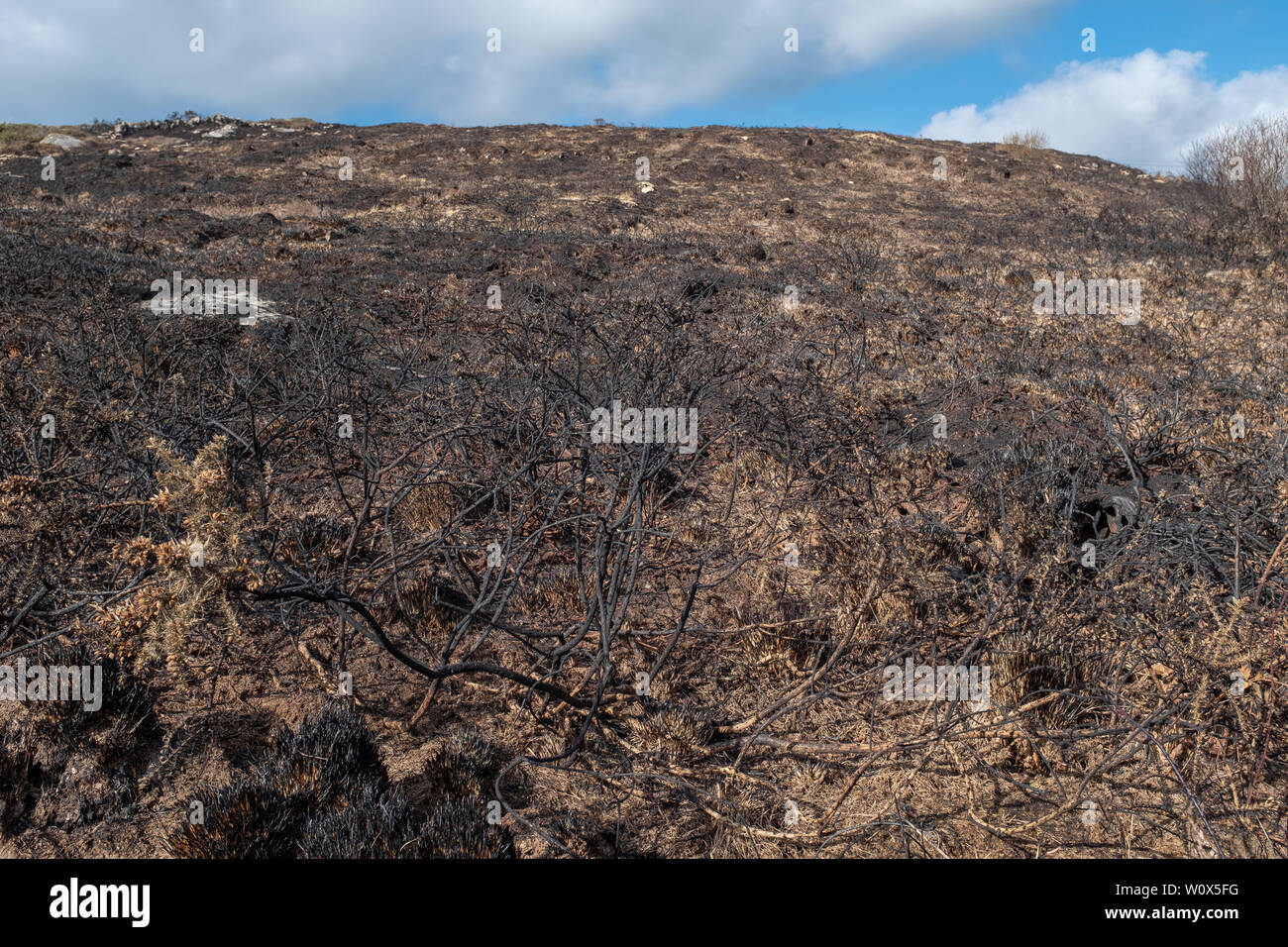 Blacken hi-res stock photography and images - Alamy