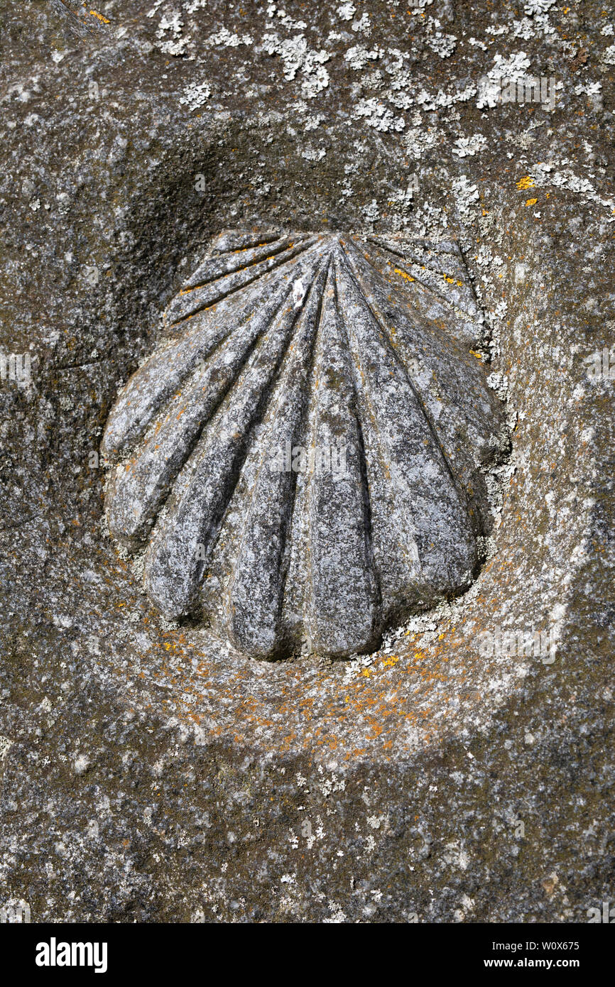 St James Shell High Resolution Stock Photography and Images - Alamy