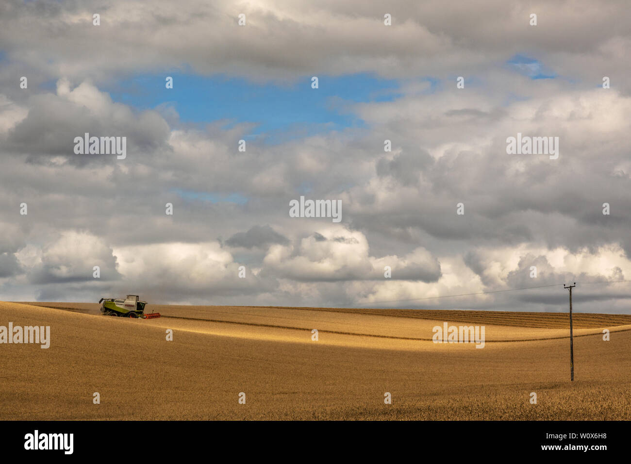 Combine harvesting arable crop in Wiltshire, UK Stock Photo - Alamy