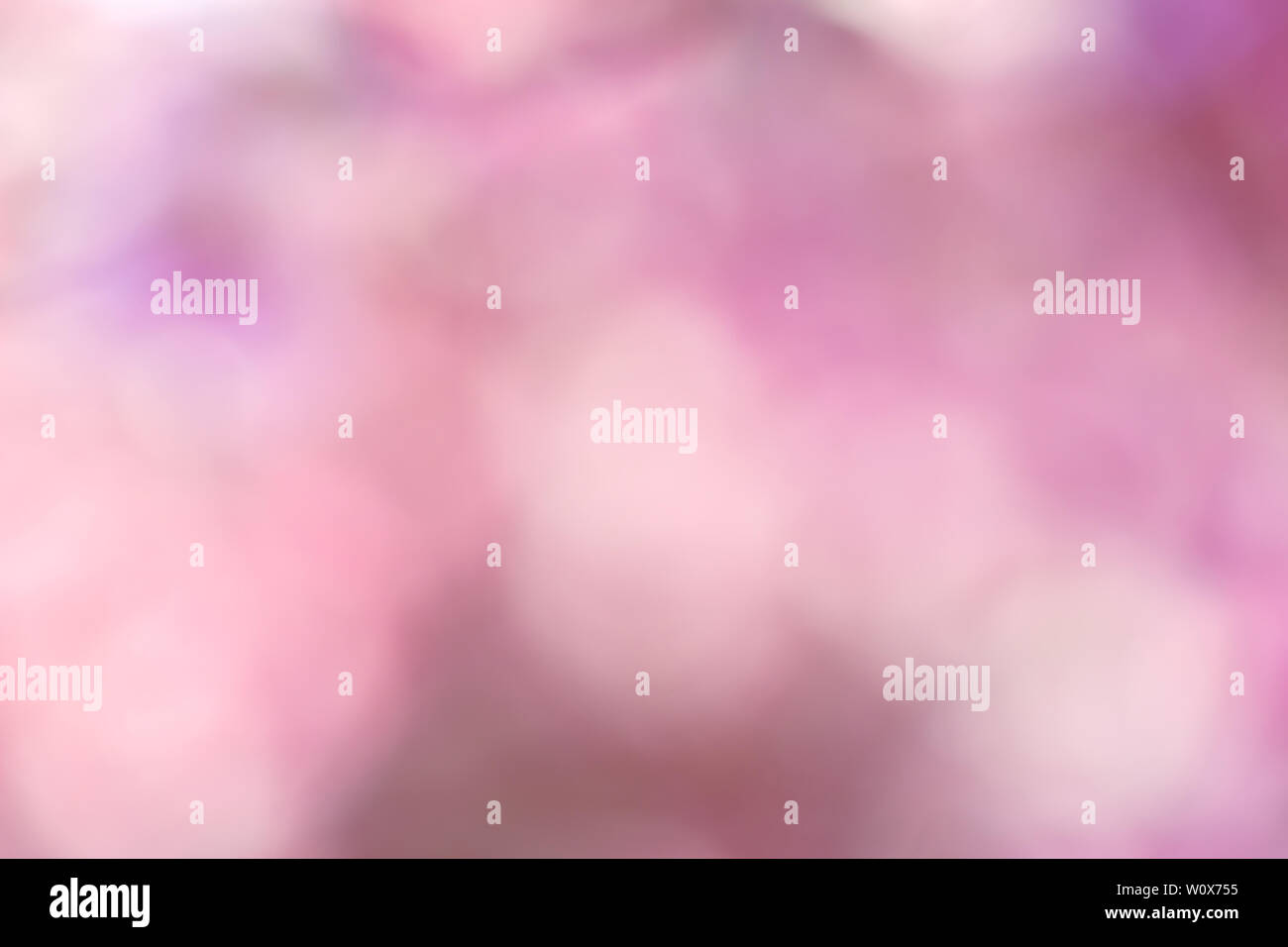 Pink spring background Stock Photo - Alamy
