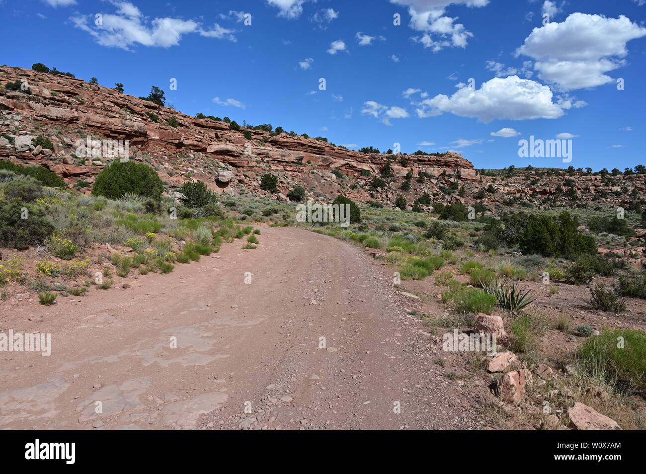 Unimproved road hi-res stock photography and images - Alamy