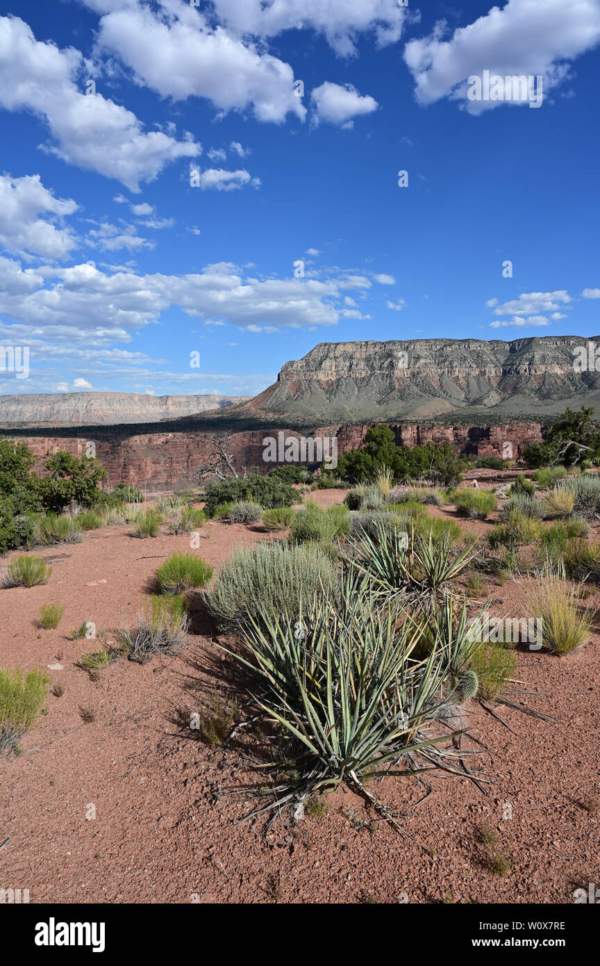 Tuweep campground hi-res stock photography and images - Alamy