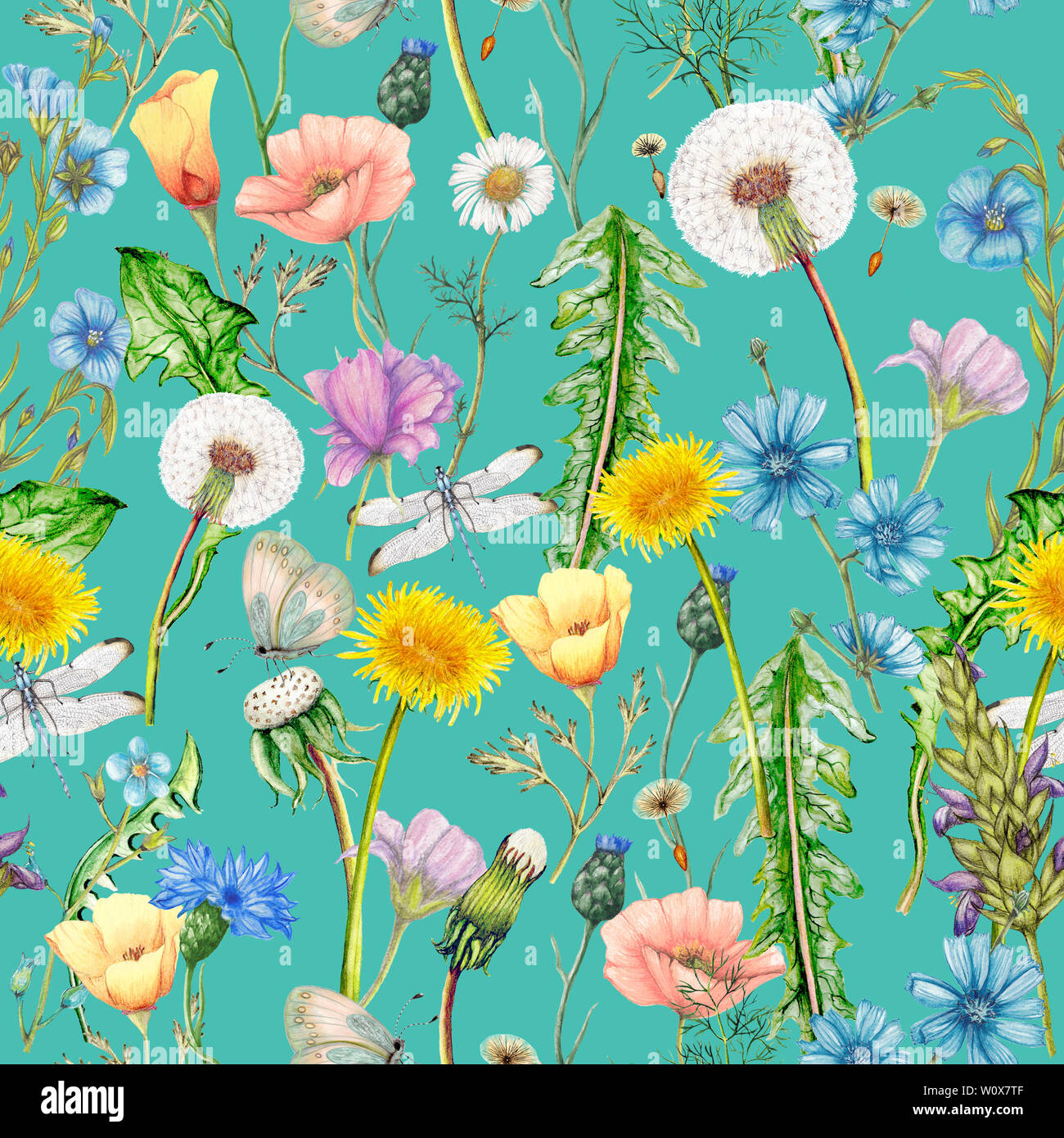 Butterfly wildflower painting hi-res stock photography and images - Alamy