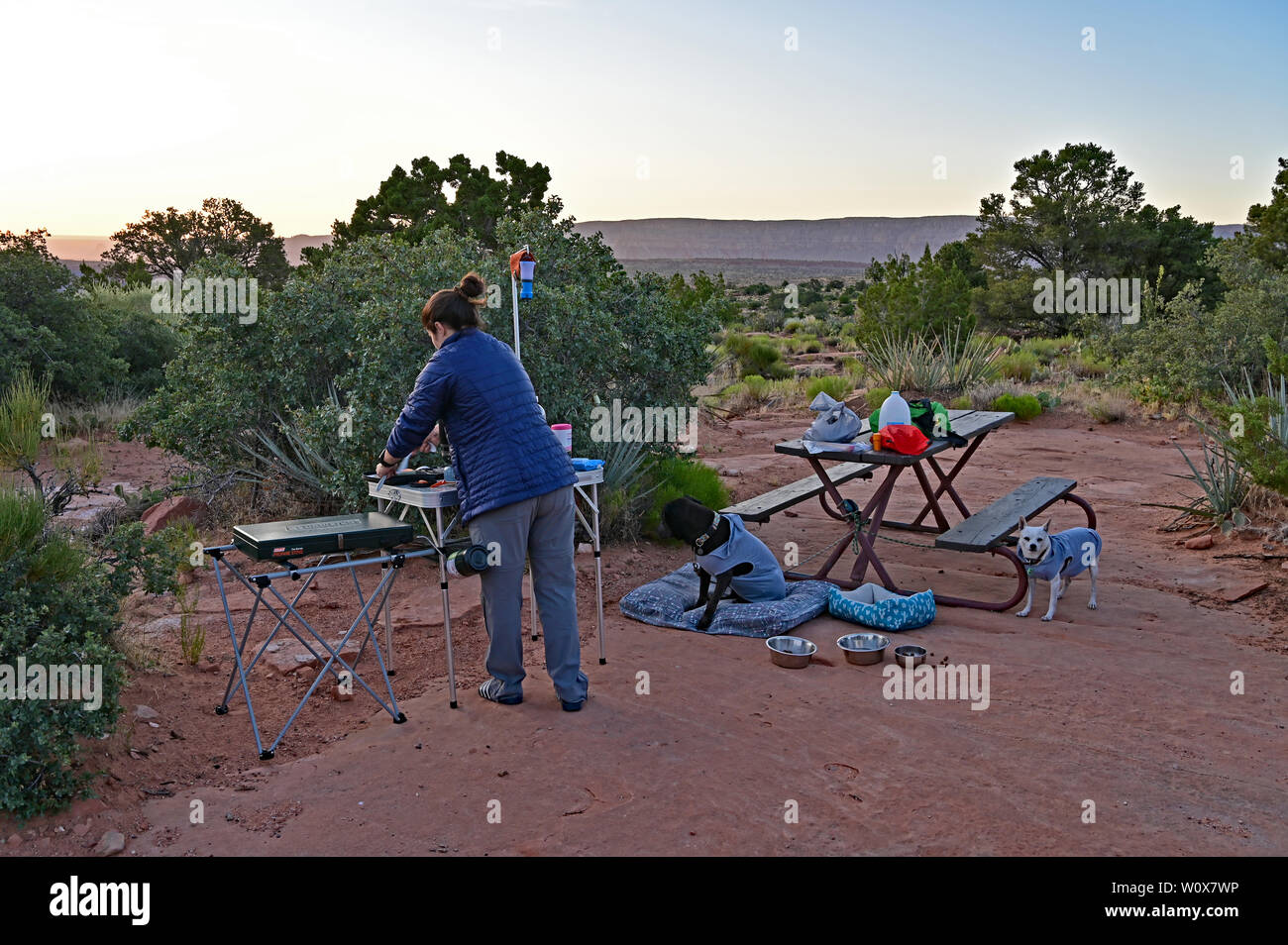 Grand Canyon National Park, Arizona 06-17-2019 Young woman enjoys ...