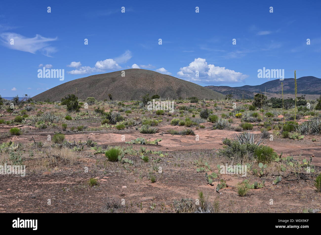 Tuweep Campground and surroundings in Grand Canyon National Park ...