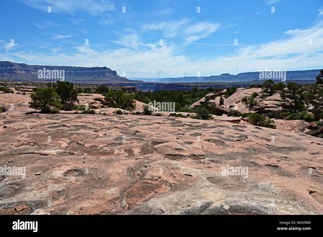 Tuweep Campground and surroundings in Grand Canyon National Park ...