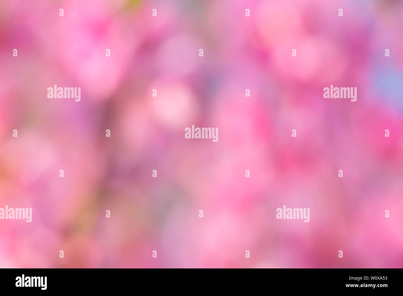 Pink spring background Stock Photo - Alamy