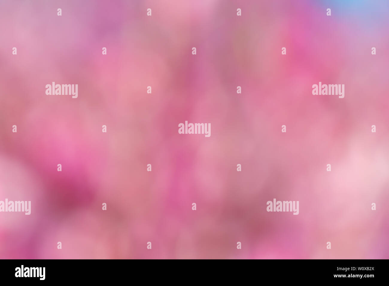 Pink spring background Stock Photo - Alamy