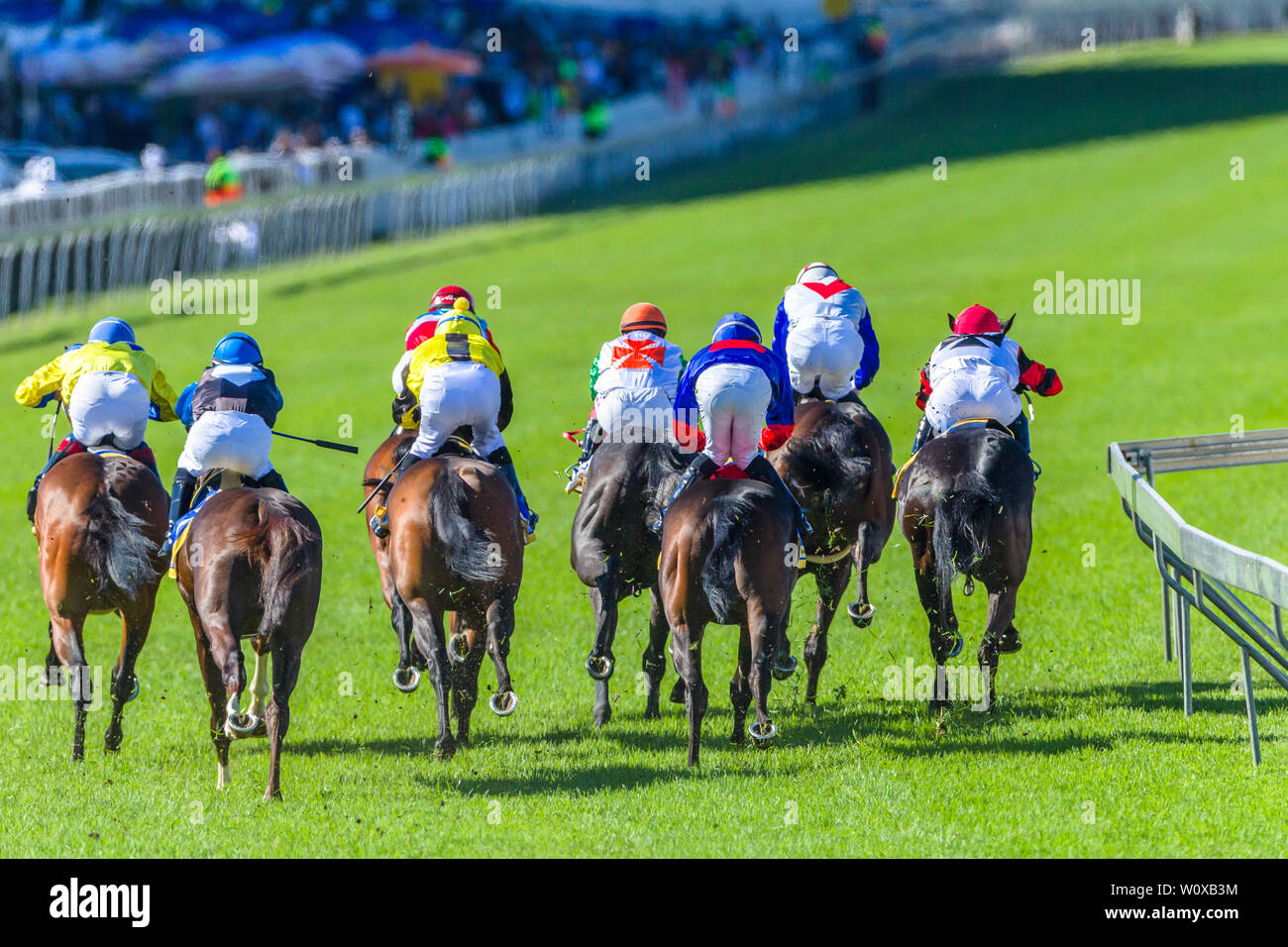 Horses jockeys racing into the final straight to the winning post rear ...