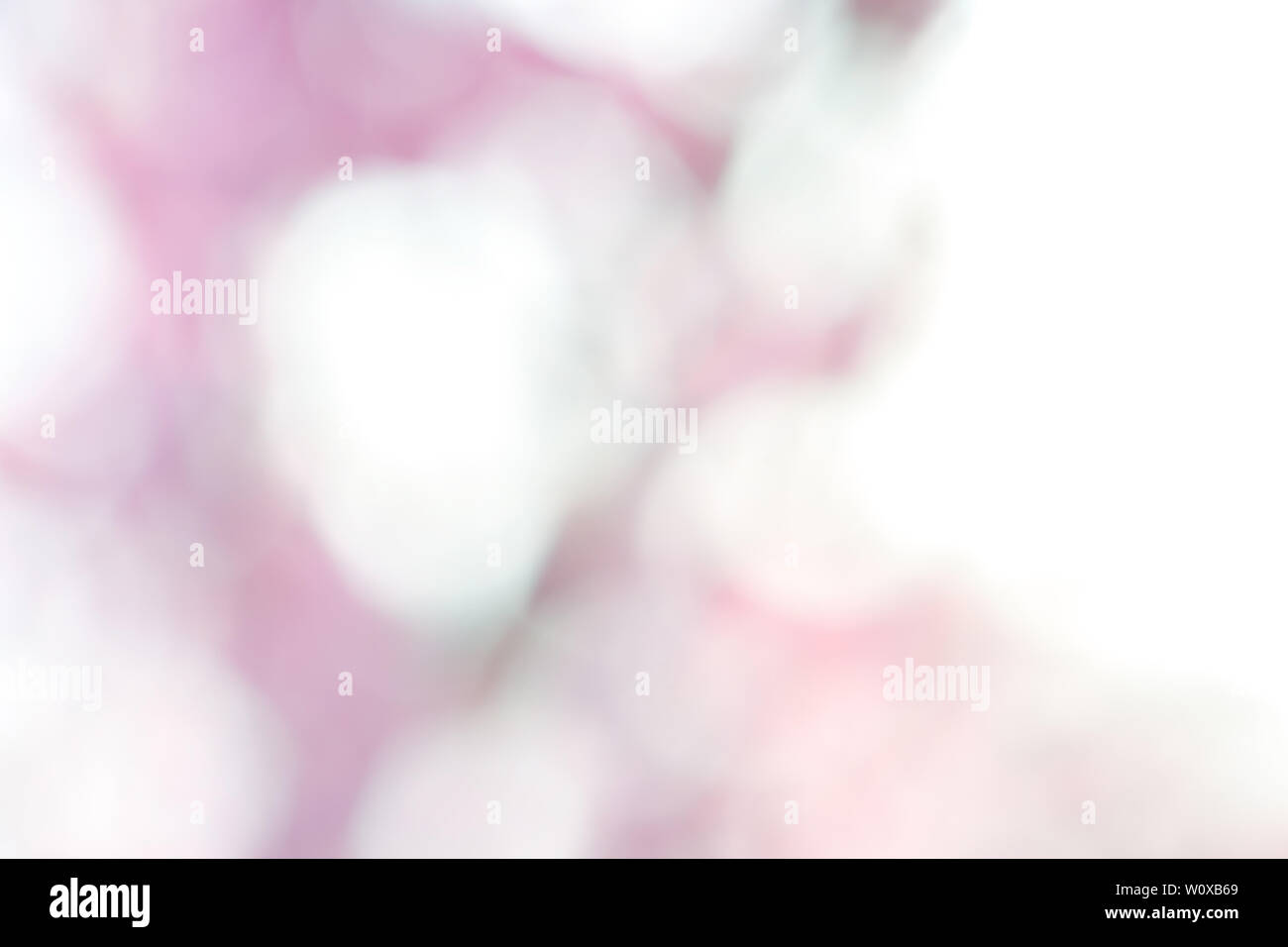 Pink spring background Stock Photo - Alamy