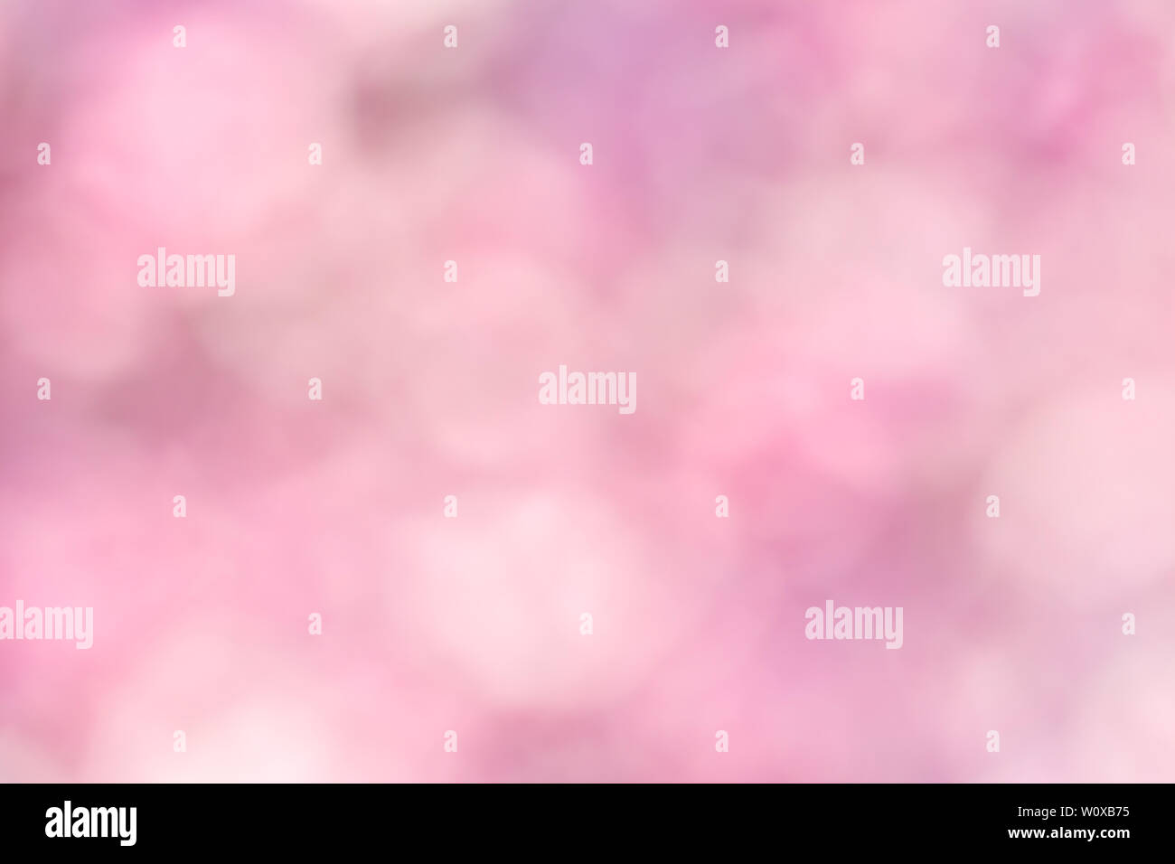 Pink spring background Stock Photo - Alamy