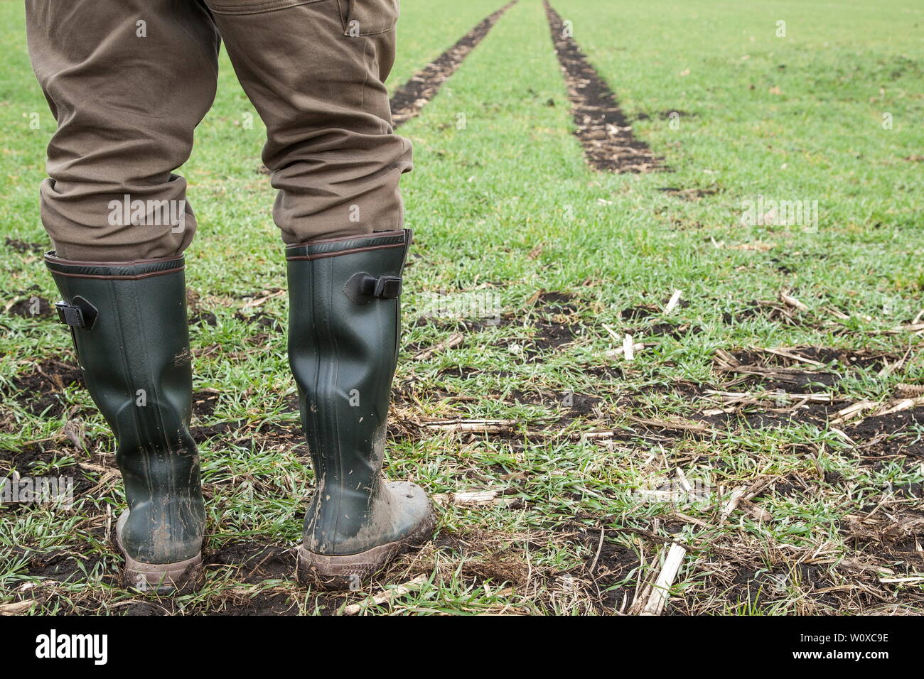 In the spring a farmer stands with his green rubber boots on the edge ...